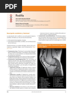 Semiología de Rodilla | PDF | Rodilla | Anatomía del miembro inferior