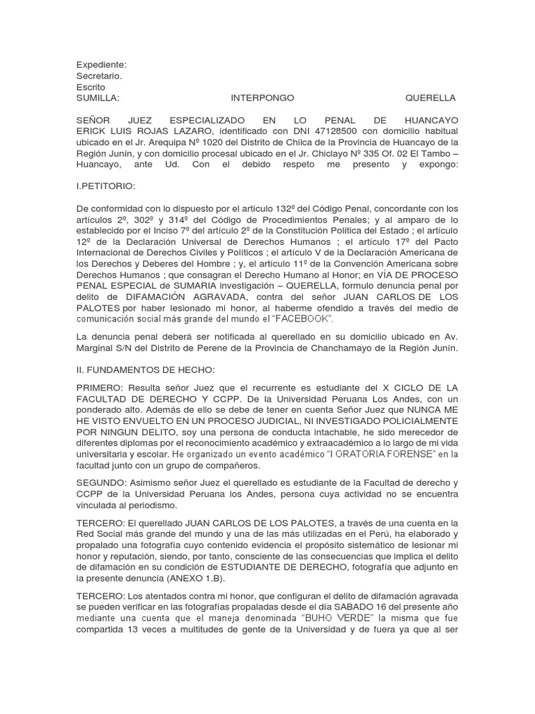 Modelo de Querrella I | PDF | Derecho penal | Principios éticos