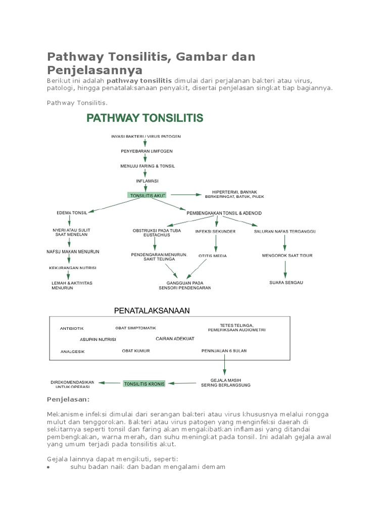 Pathway Tonsilitis | PDF