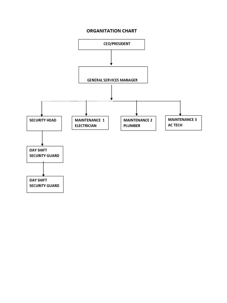 Organitation Chart | PDF