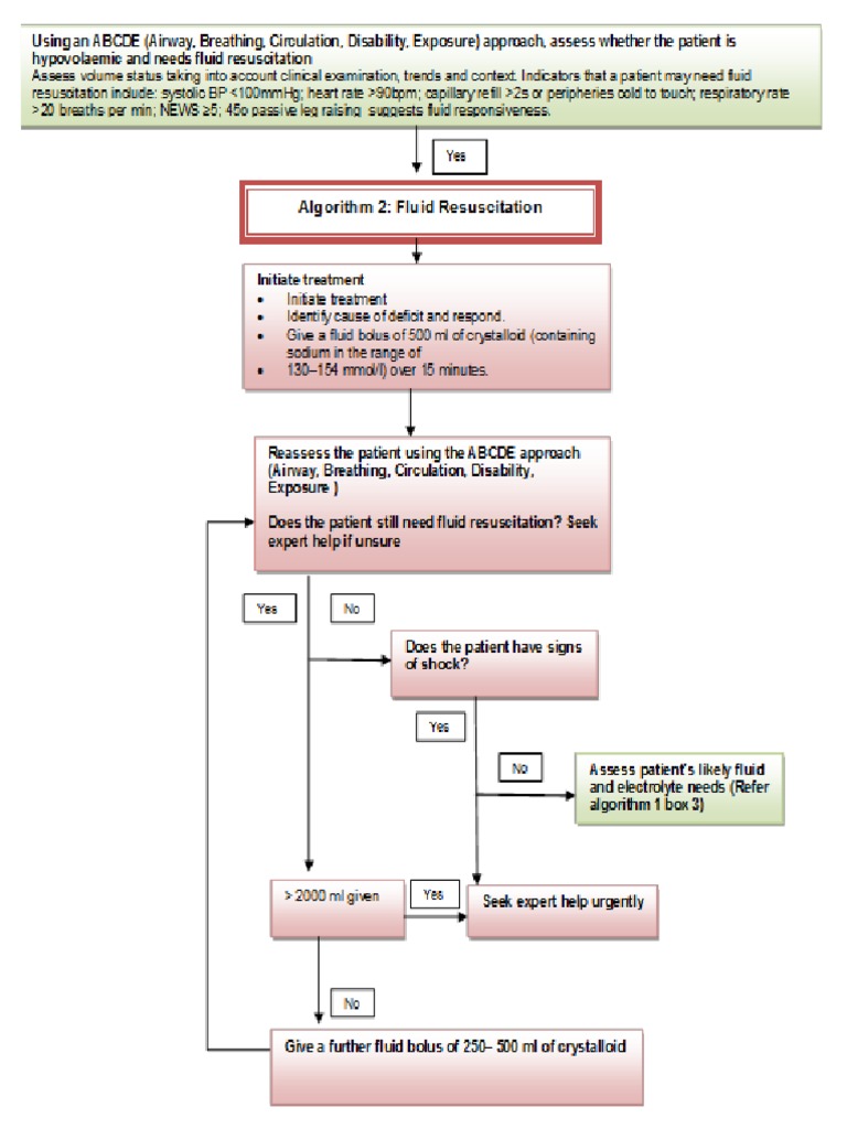 7.4.1 Algorithm 2: Fluid Resuscitation: IV Fluid Therapy in Adults ...