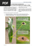Ficha Técnica Radigrow XL | PDF | Agua | Química