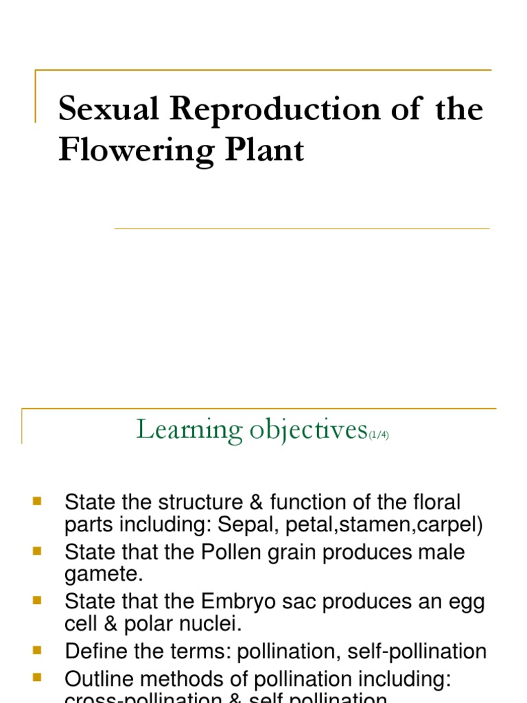 Sexual and Asexual Repro in Plants | PDF | Seed | Pollination