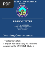 Curriculum Map G11 Earth and Life Science | PDF | Rock (Geology) | Geology