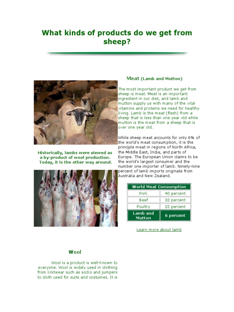 Comprehensive Sheep Products Overview | PDF | Lamb And Mutton | Wool