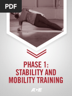 Mobility Routine | PDF | Strength Training | Recreation