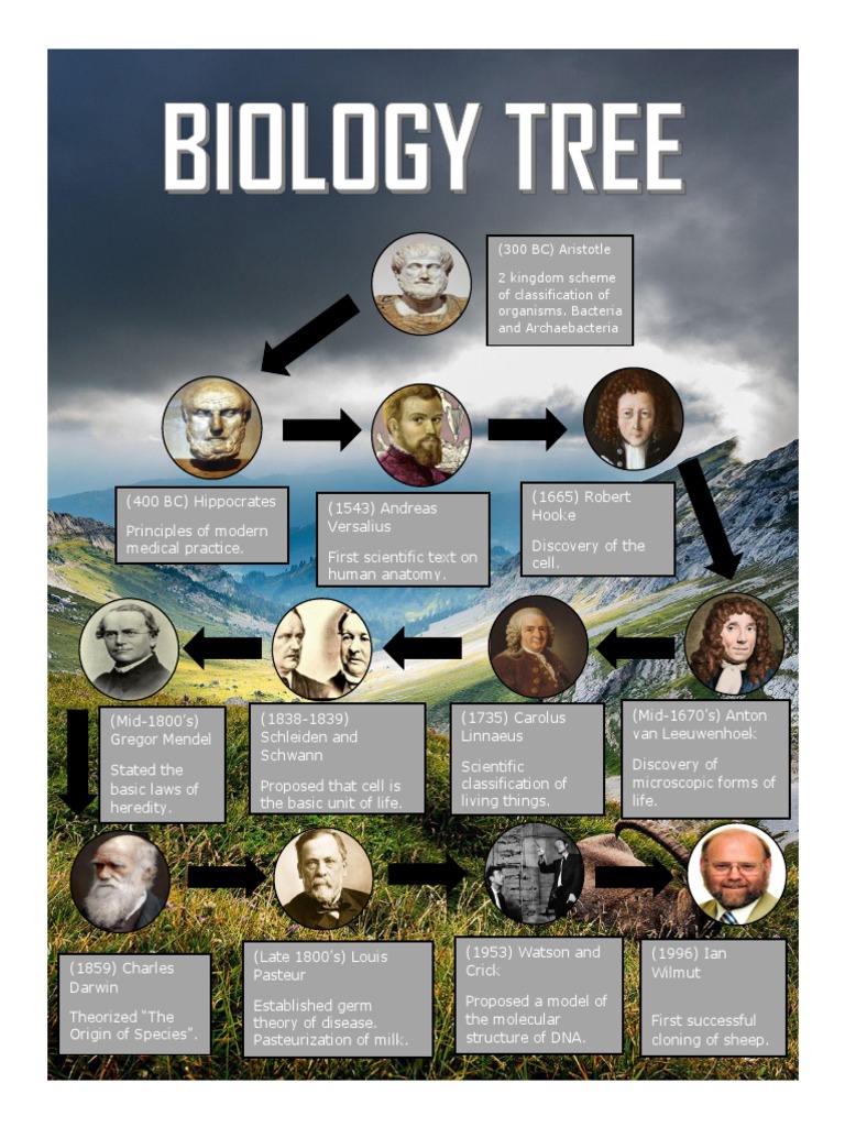 Biology Tree | PDF
