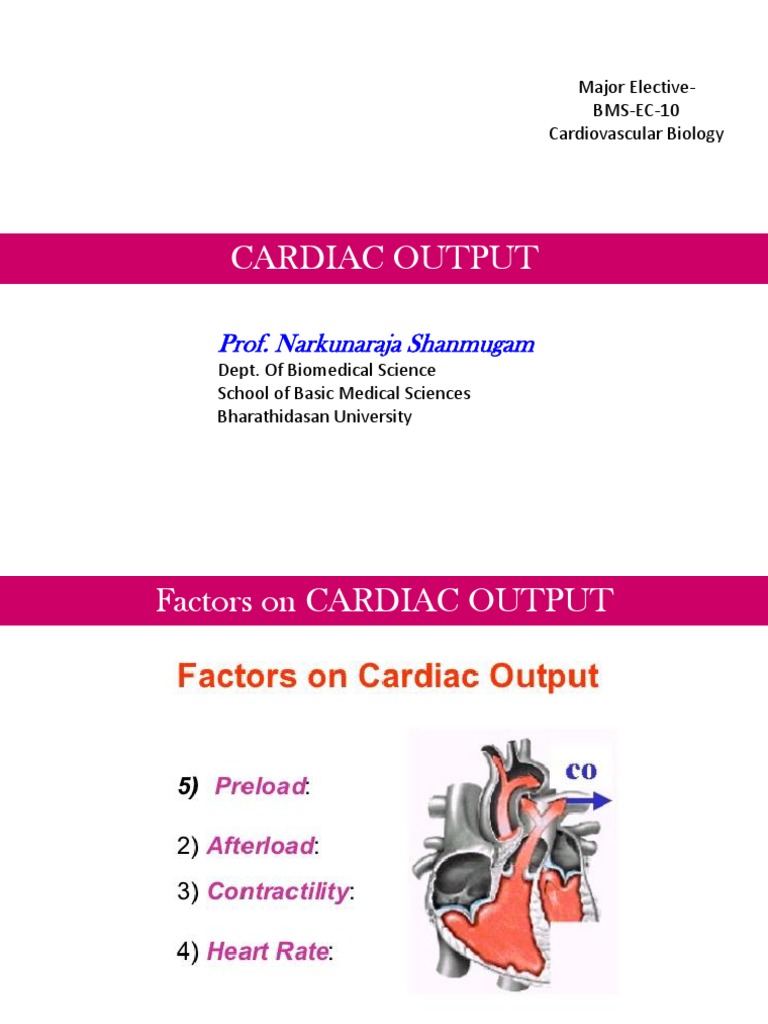 Cardiac Output | PDF | Diastole | Ventricle (Heart)
