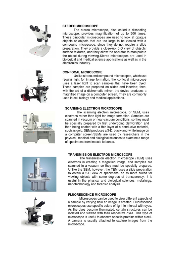 Types of Microscope | PDF | Microscope | Scanning Electron Microscope