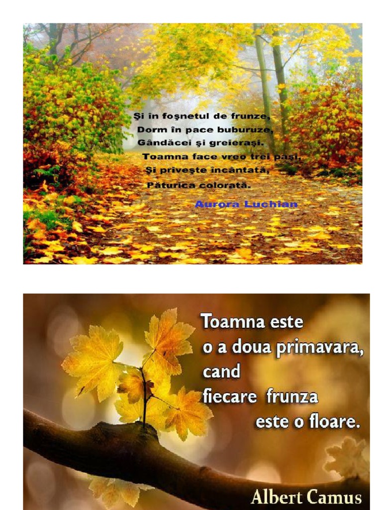 Citate TOAMNA | PDF