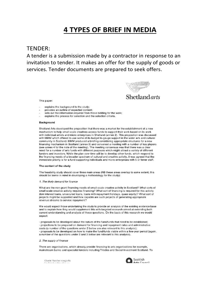 4 Types of Brief in Media | PDF