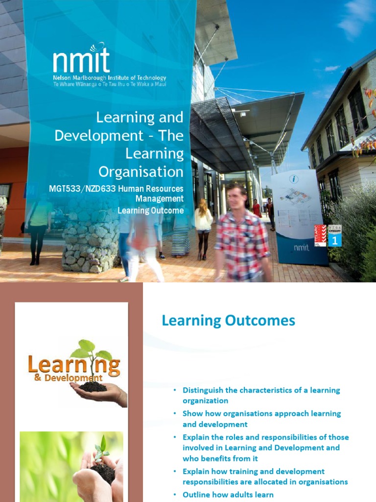 Learning and Development | PDF | Learning Styles | Goal