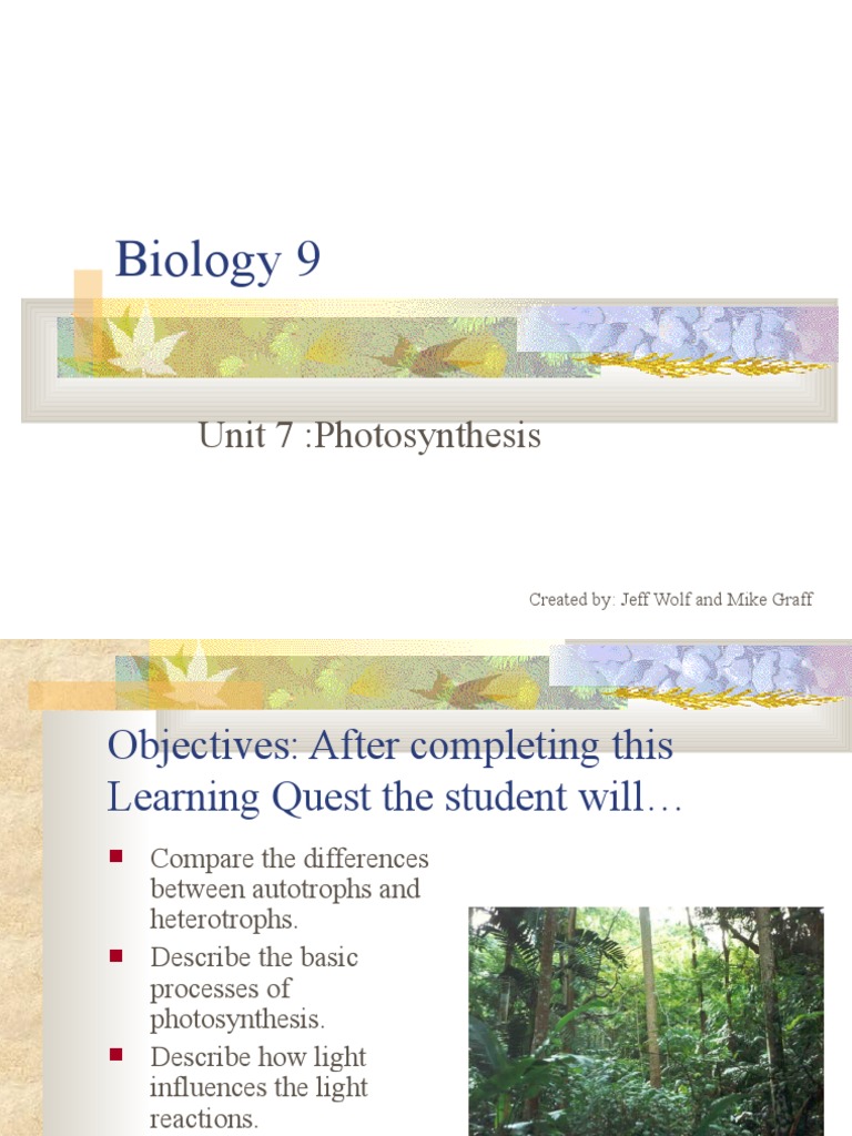 Biology 9 Unit 7 - Photosynthesis | PDF | Photosynthesis | Chlorophyll