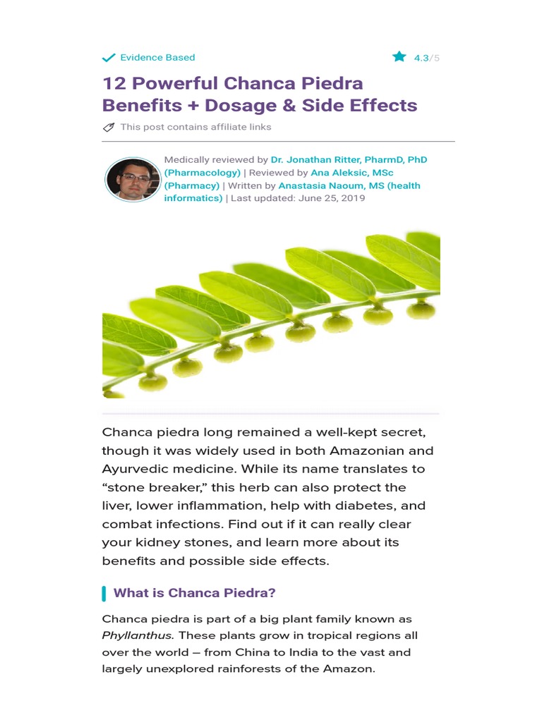 12 Powerful Chanca Piedra Benefits Dosage & Side Effects - SelfHacked | PDF | Cholesterol ...