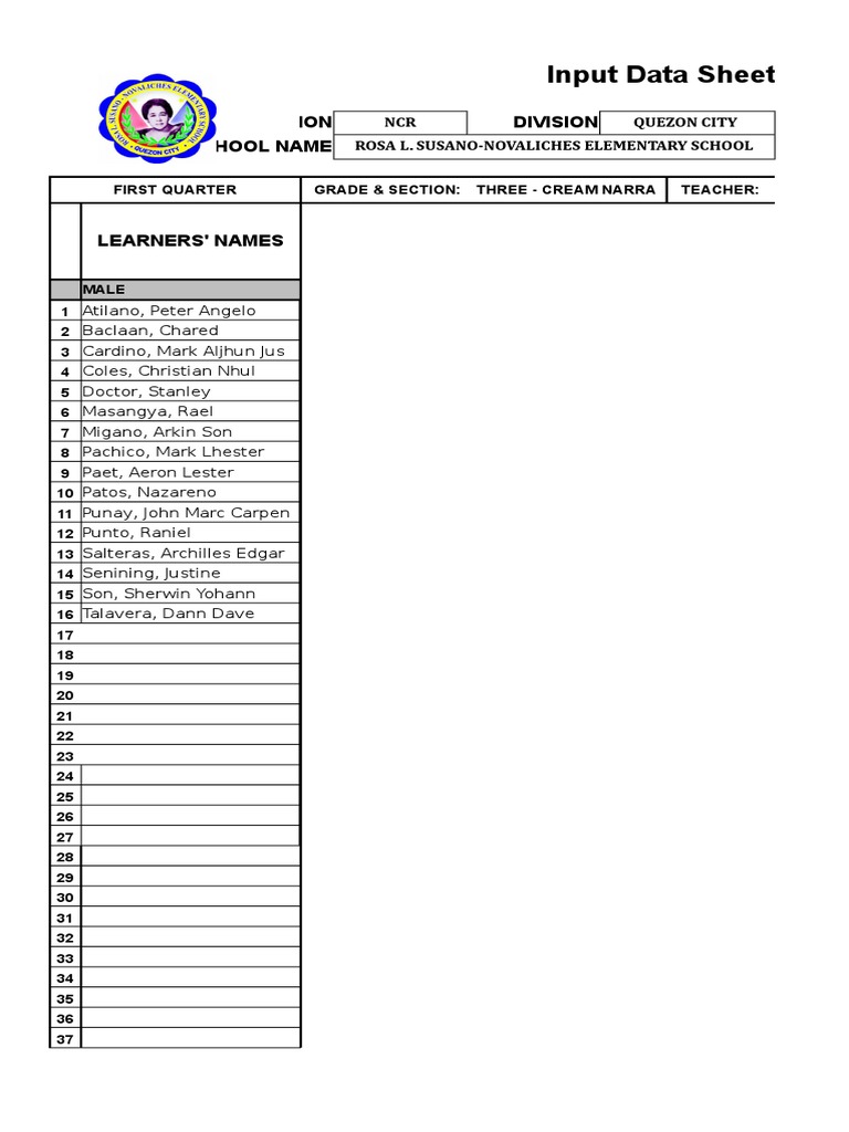 Input Data Sheet For E-Class Record: ION Division School Name | PDF