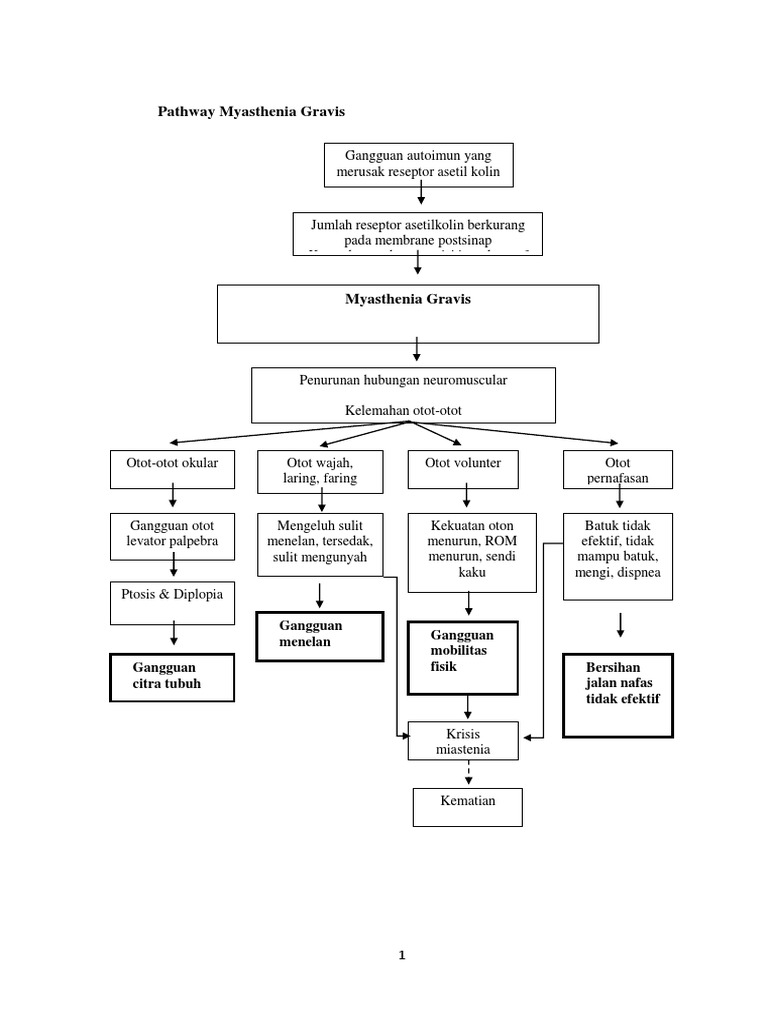 Woc Rabies, Meningitis, G | PDF