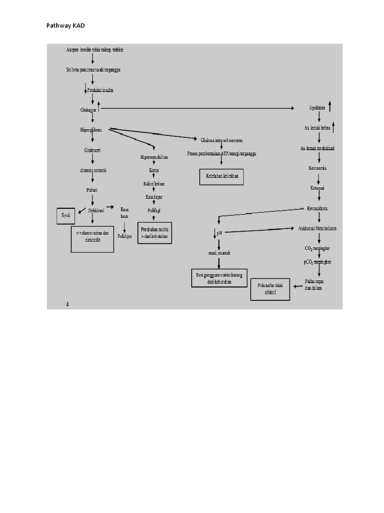 Pathway KAD | PDF