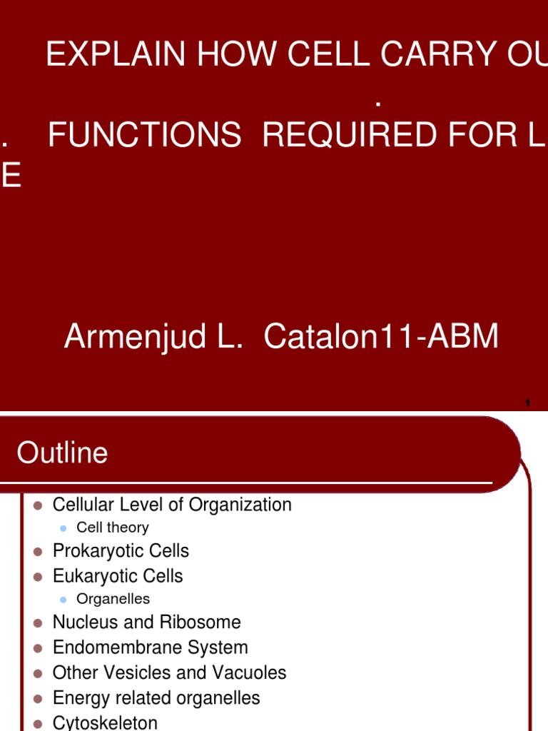 How Cell Carry Out Energy | PDF | Endoplasmic Reticulum | Cytoskeleton