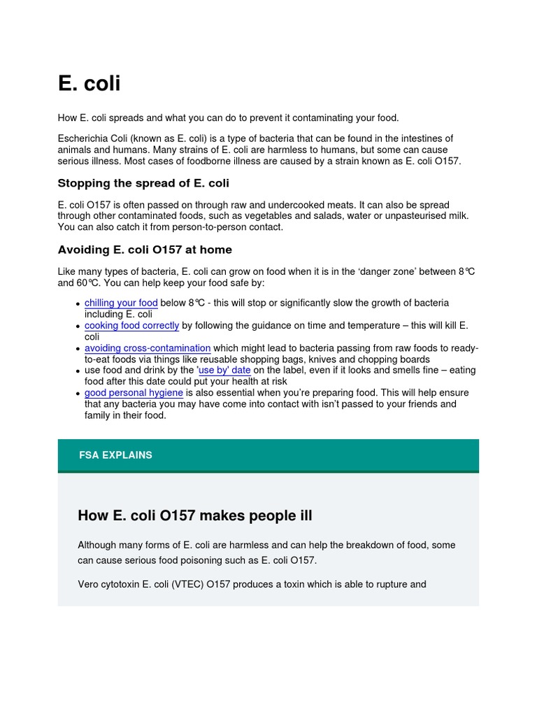Stopping The Spread of E. Coli | PDF | Escherichia Coli | Foodborne Illness