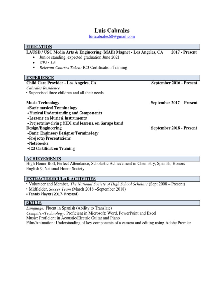Luis C Resume | PDF