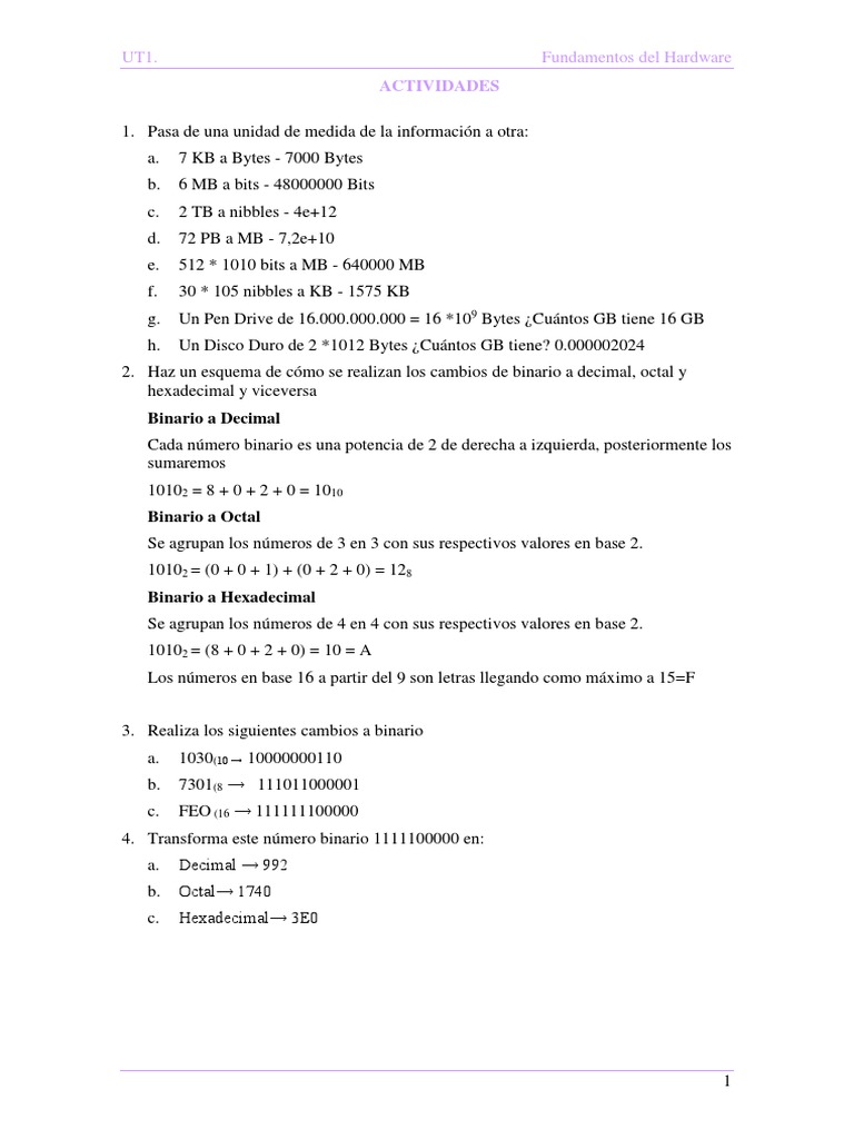 Fundamentos del Hardware: Ejercicios | PDF | Byte | Poco