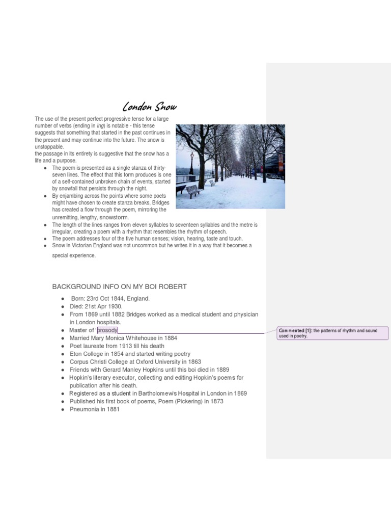 Literature Igcse Analysis | PDF | Poetry | Metre (Poetry)