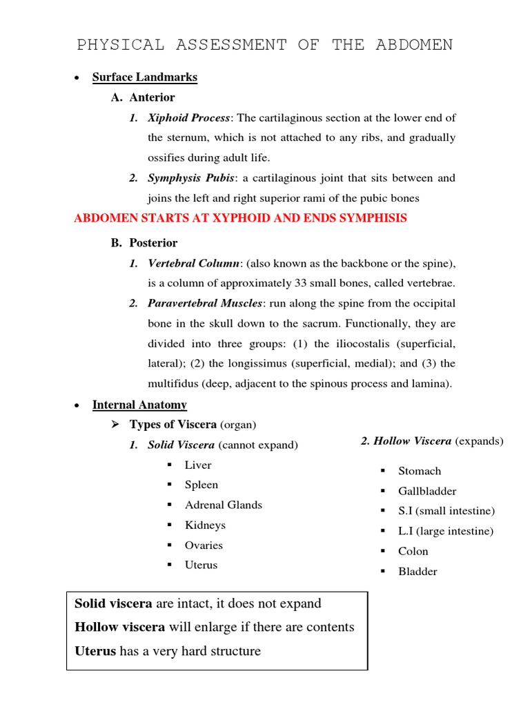 Pa of Abdomen Print | Download Free PDF | Abdomen | Vertebra