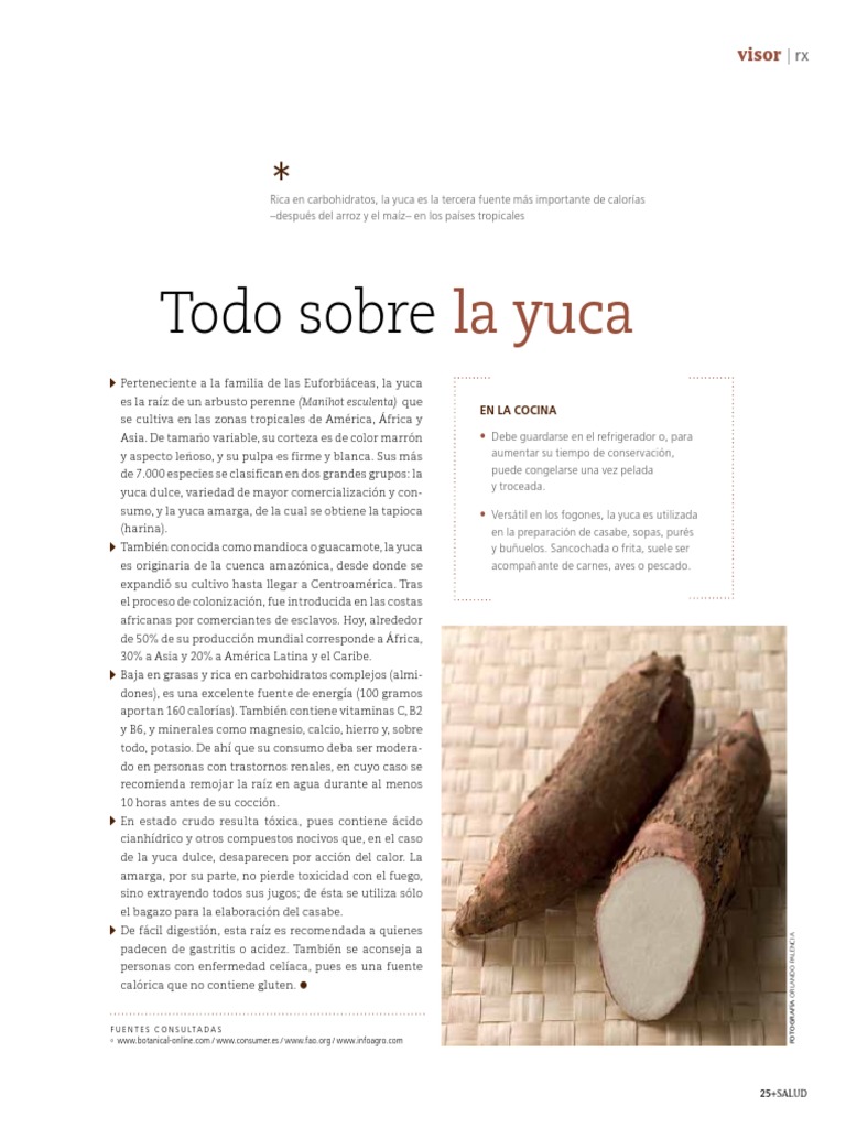 Beneficios y usos de la yuca | PDF | Cocinando | Alimentos