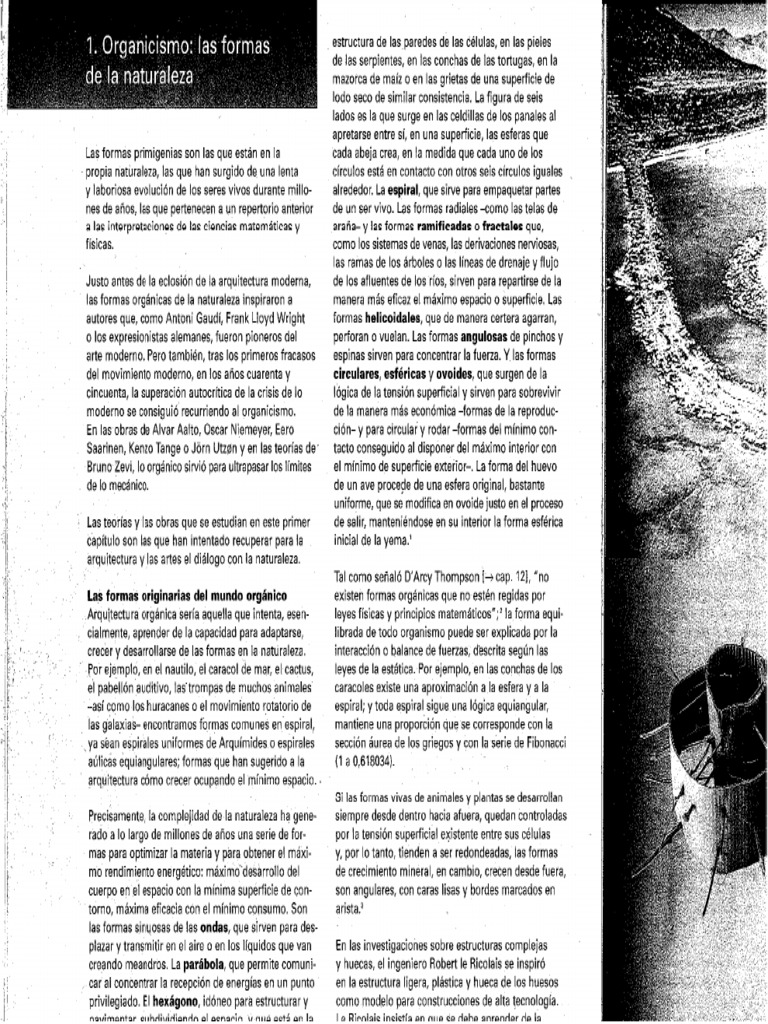 Organicismo, Las Formas en La Naturaleza | PDF