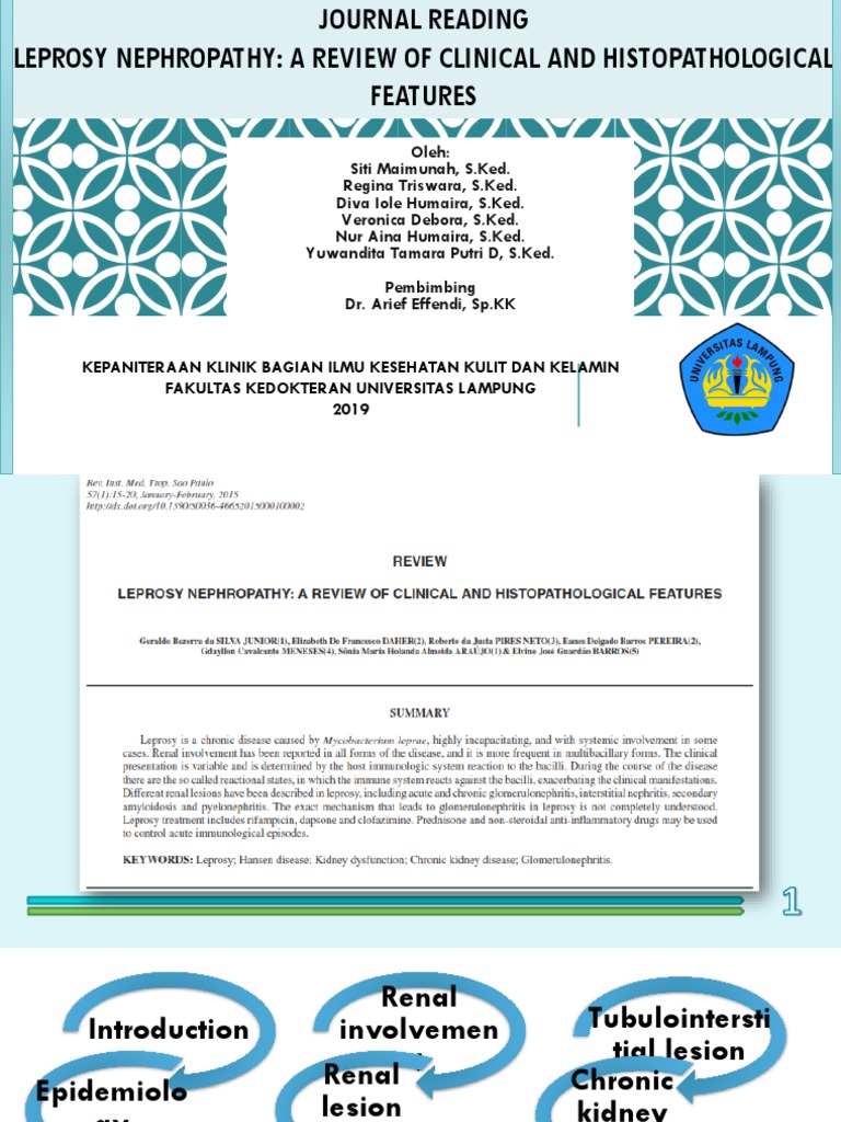 Journal Reading Morbus Hansen | PDF | T Helper Cell | Leprosy