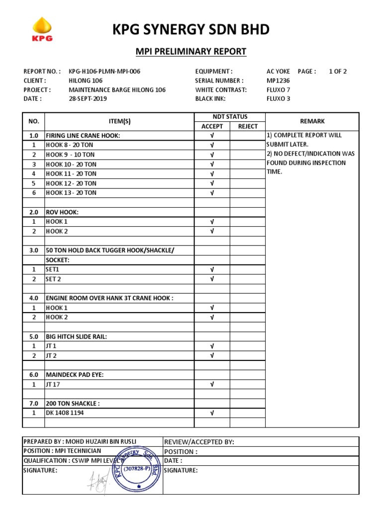 KPG Synergy MPI Preliminary Report Summary | PDF