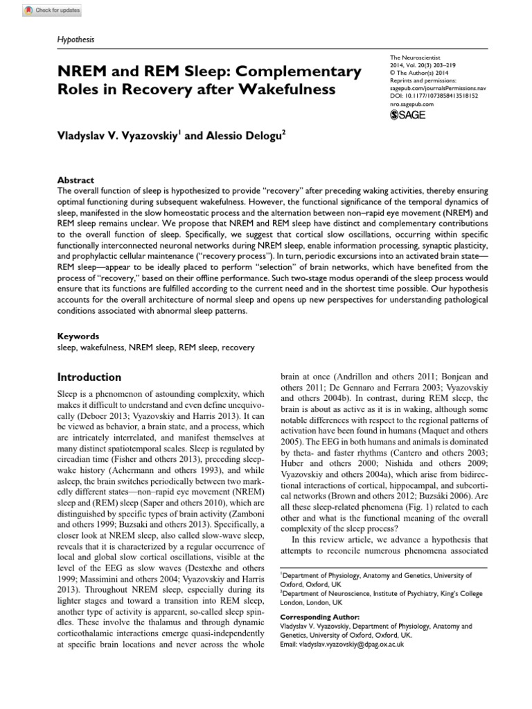 NREM and REM Sleep | PDF | Rapid Eye Movement Sleep | Thalamus