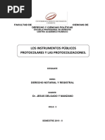 Diferencias Entre Los Instrumentos Públicos Protocolares y Extraprotocolares | PDF | Gobierno ...