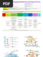 Shock Comparison Chart | PDF | Shock (Circulatory) | Heart