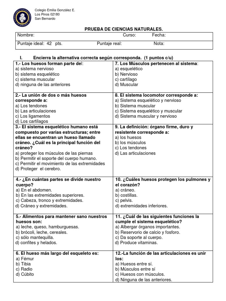 Prueba de Ciencias Sistema Esqueletico | PDF | Músculo | Hueso