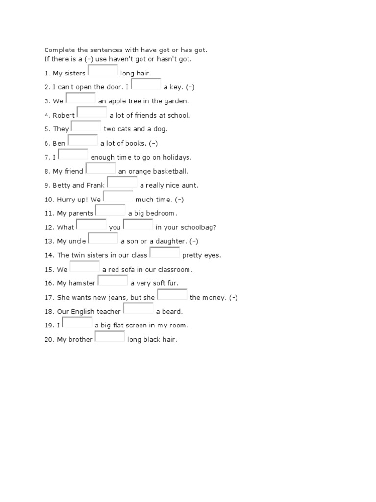 Complete The Sentences With Have Got or Has Got | PDF