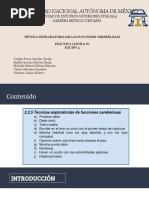 Examen Del Cerebelo | PDF | Pie | Mano