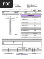 Formato de Liberación de Colado | PDF | Derecho | Ciencia y matemáticas