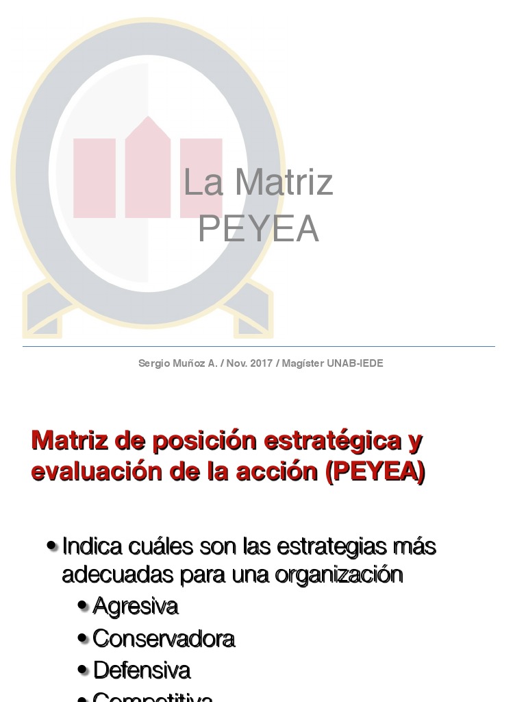 4 La Matriz Peyea | PDF | Ventaja competitiva | Matriz (Matemáticas)