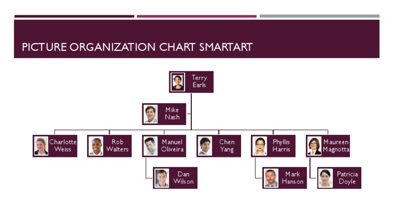 Picture Organization Chart Smartart: Terry Earls | PDF