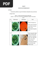 Uji Sensitivitas Antibiotik | PDF