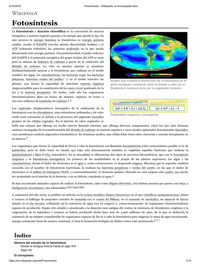 Fotosíntesis - Wikipedia, La Enciclopedia Libre | PDF | Fotosíntesis ...