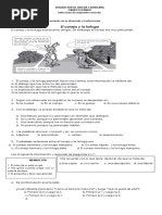 Pruebas Saber Español Grado Tercero | PDF | Palabra | Oración (Lingüística)