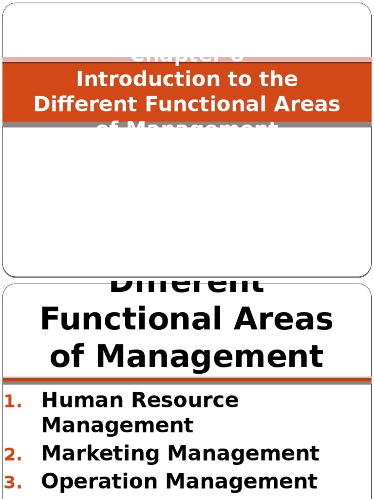 Chapter 8 Intro To Different Functional Areas of MNGT | PDF