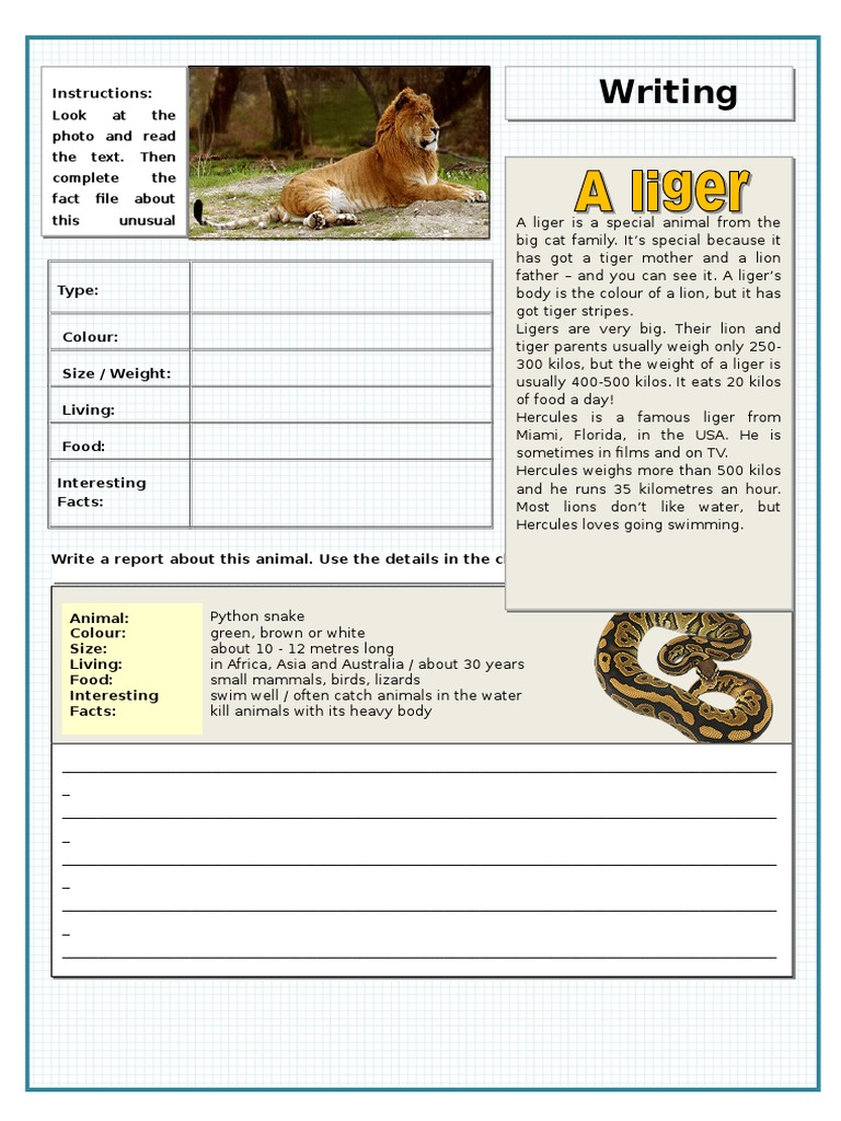 Writing Describing Animals Information Gap Activities Tests Writing ...