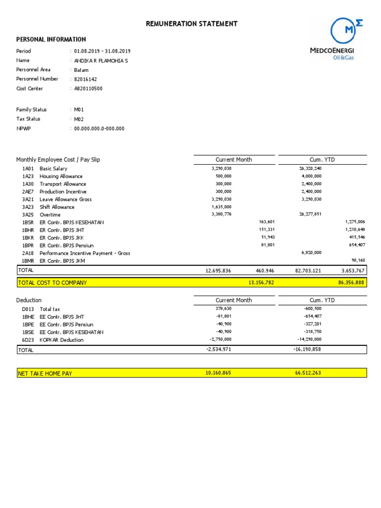 Remuneration Statement: Personal Information | PDF | Government ...