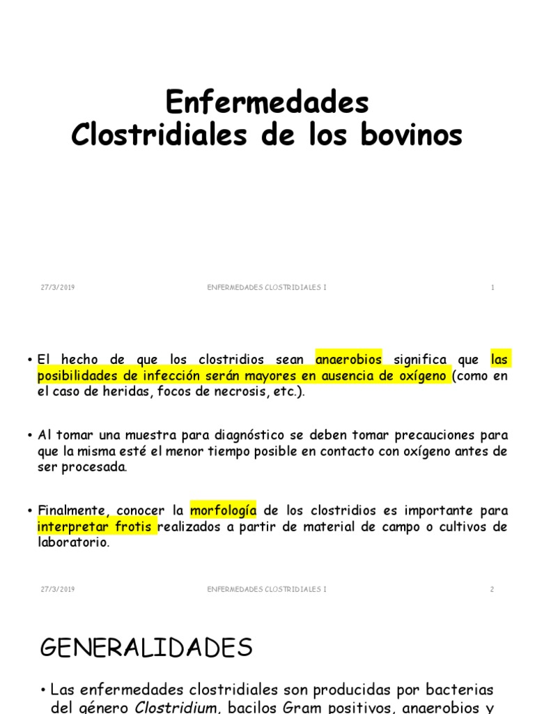 Enfermedades Clostridiales PDF | PDF | Ántrax | Medicina CLINICA
