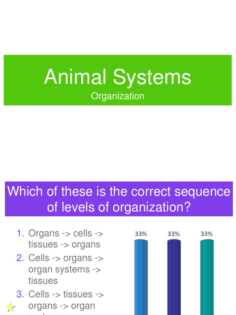 The Organization of Animal Systems and Their Importance for Survival ...