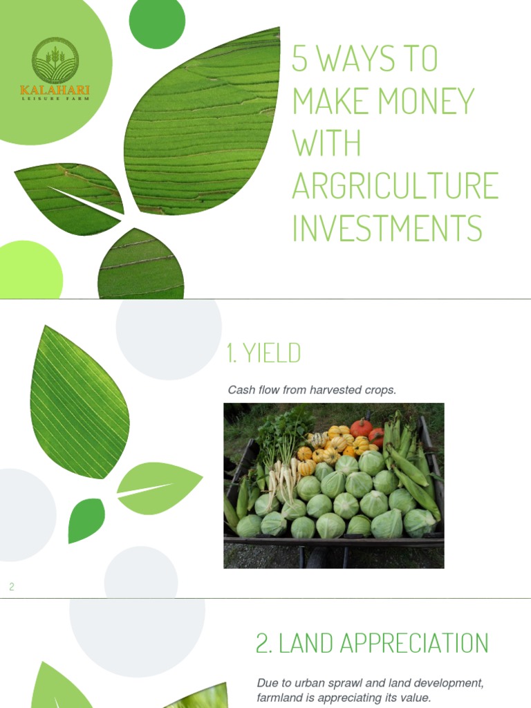 Ways of Income | PDF