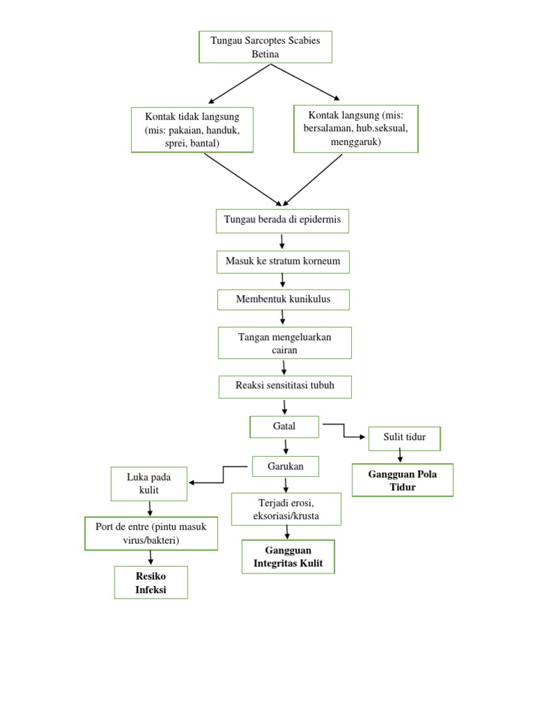Pathway Scabies | PDF